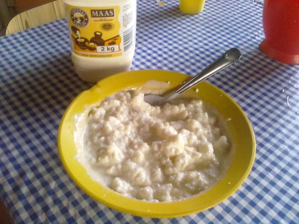 Yogurt-Based Recipe Suggestions